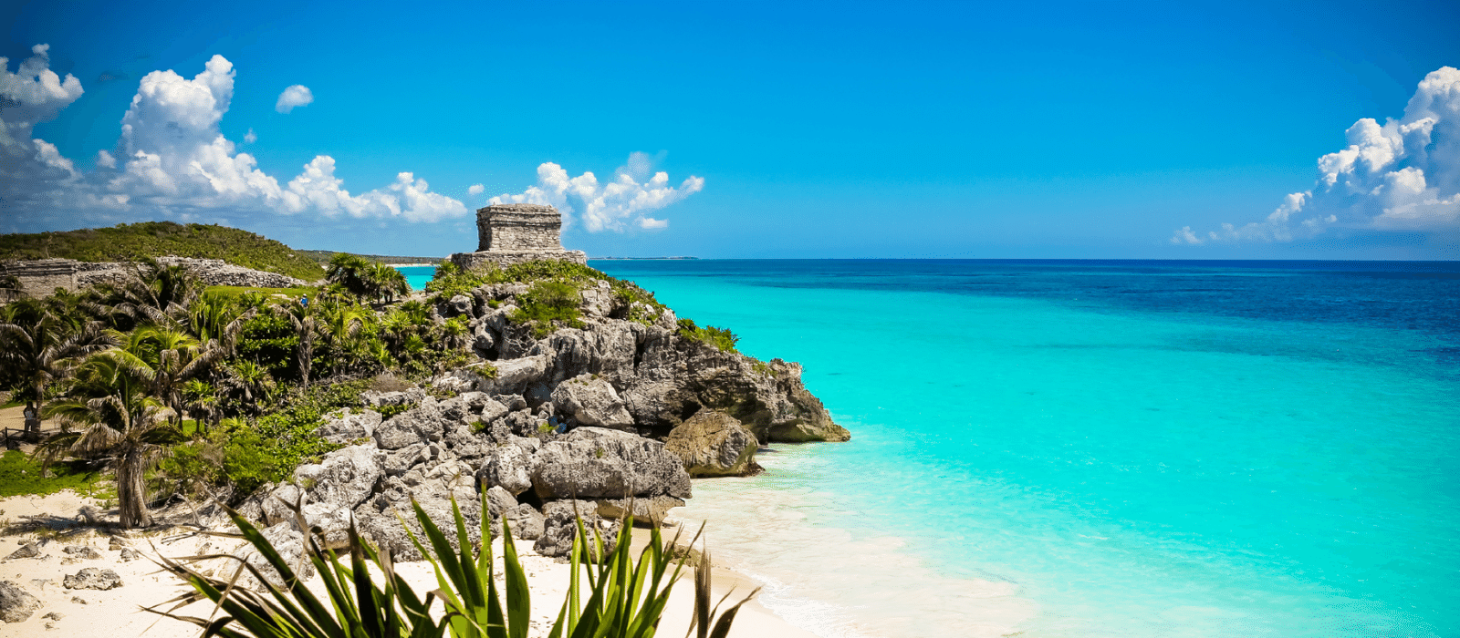 BAK TULUM - Costa Realty Group México